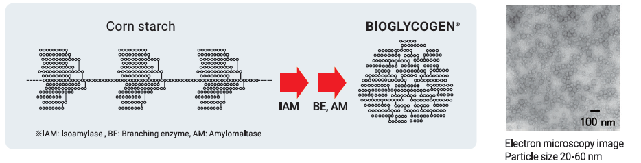 Cosmetic Ingredient BIOGLYCOGEN™ | Glico Nutrition